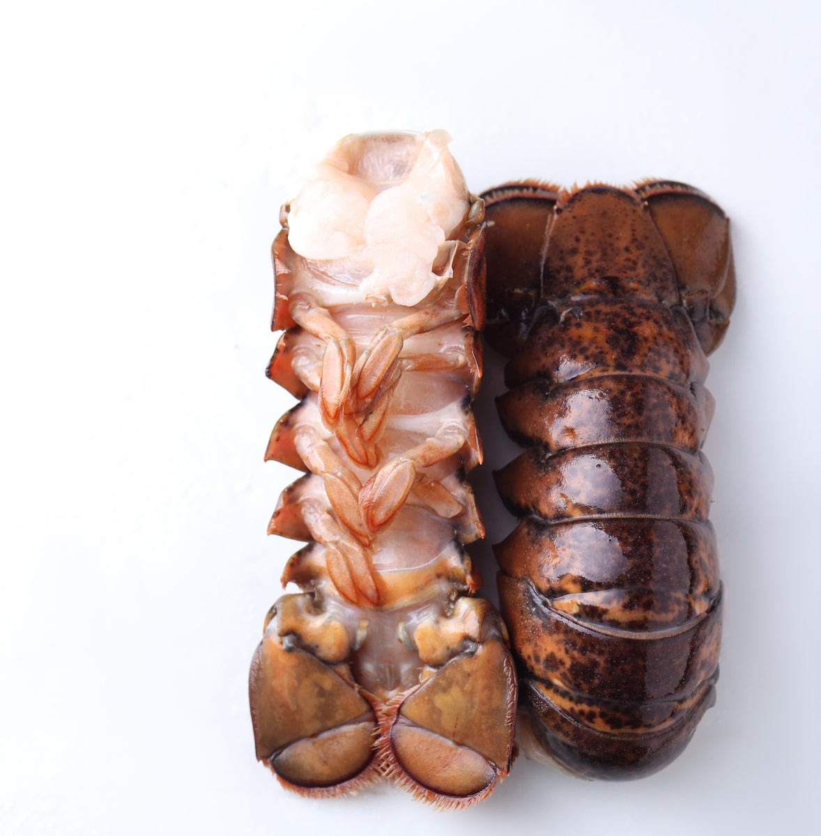 Crayfish Tails – Poseidon Oysters & Seafood Supplies