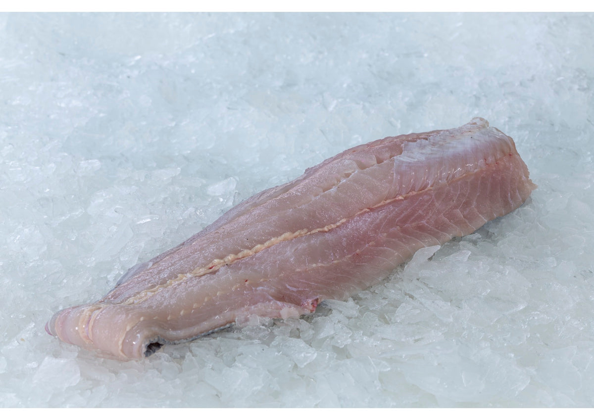 BLUE GRENADIER – Poseidon Oysters & Seafood Supplies